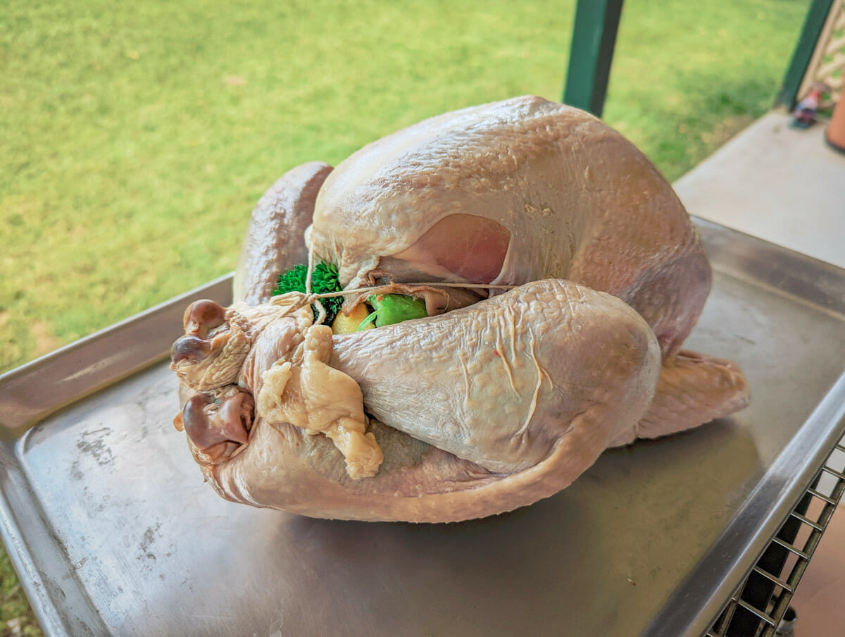 [10 Steps] Smoking A Turkey in A Gas Smoker - Simply Meat Smoking