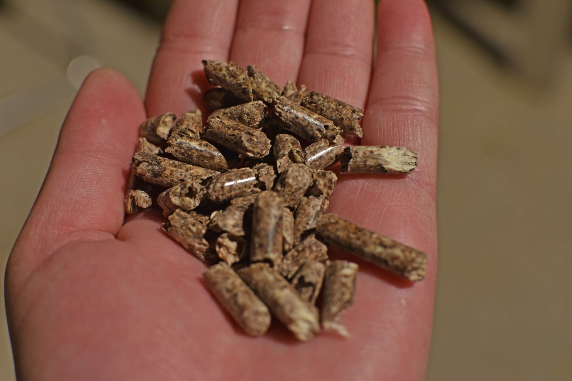 Smoked and Grilled Traeger Brussel Sprouts (3 Easy Steps) - Simply Meat ...