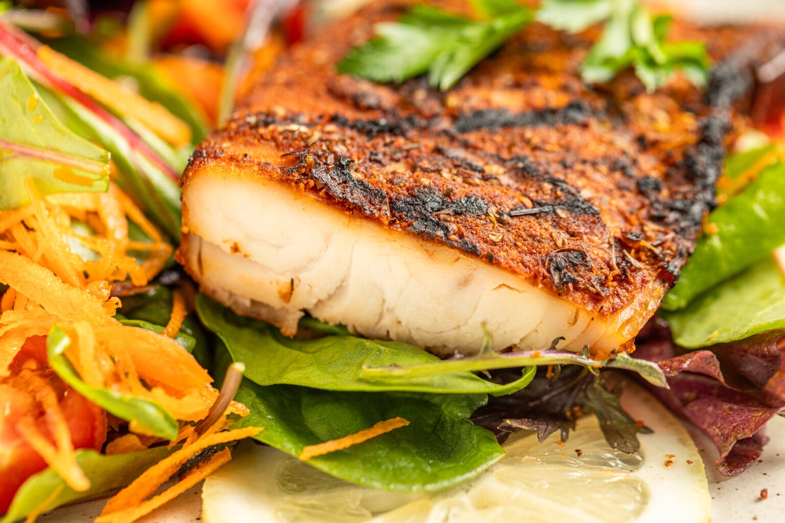 Grilled Hogfish Snapper - Simply Meat Smoking